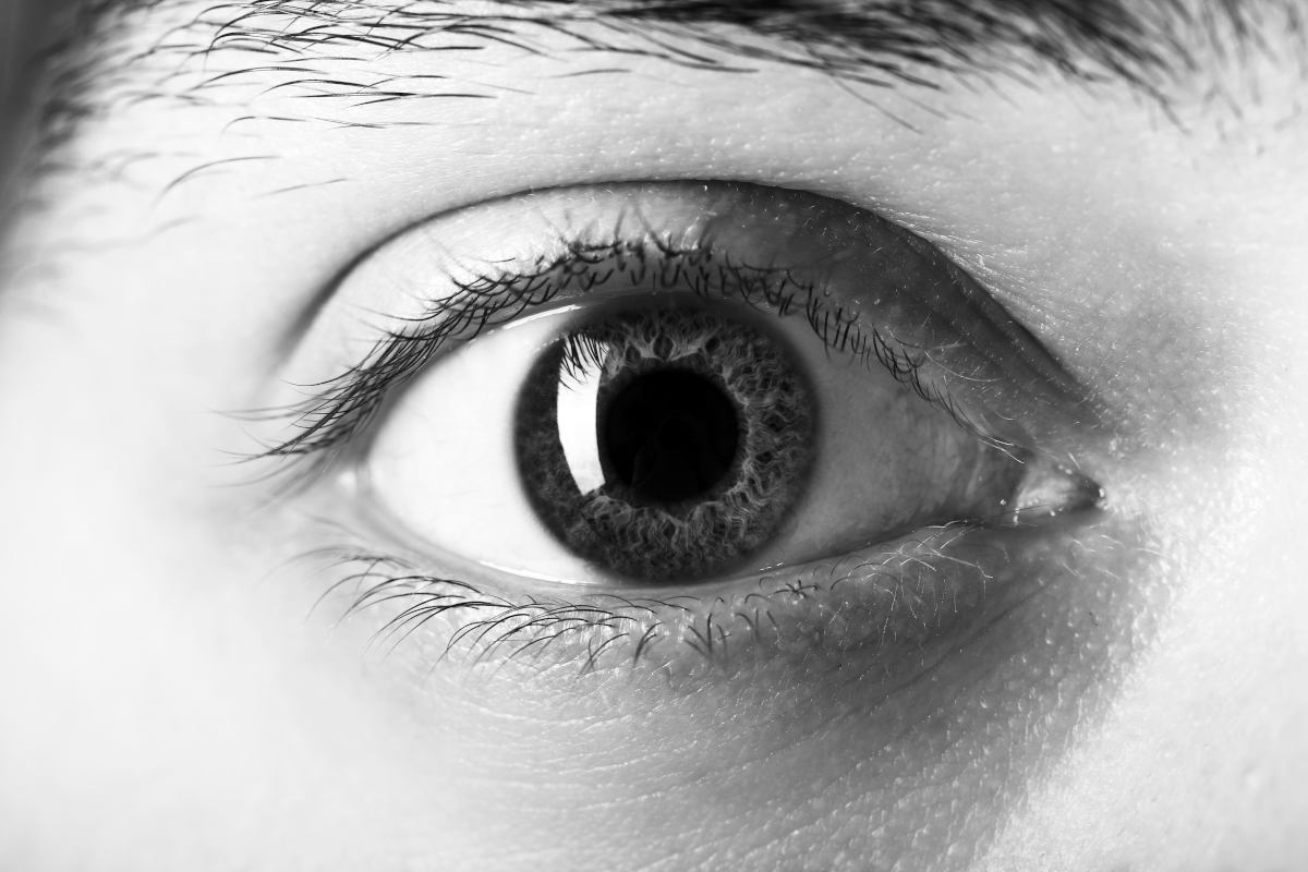 Ocumetics Bionic Lens Cost - Ocumetics Technology Corp